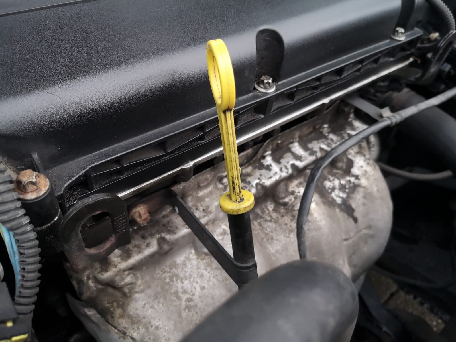 Why Do Some Cars Have A Car Oil Dipstick And Others Don’t? – Automotive ...